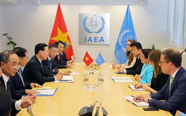 IAEA impressed by Vietnam’s capabilities, engagement: Acting Director ...