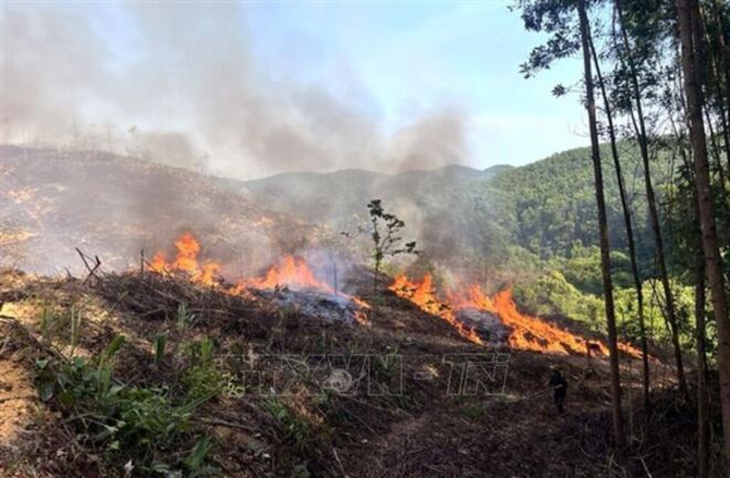 Gov’t leader orders effective solutions to prevent forest fires