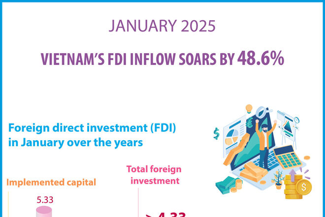 Vietnam's FDI inflow soars by 48.6 percent in January