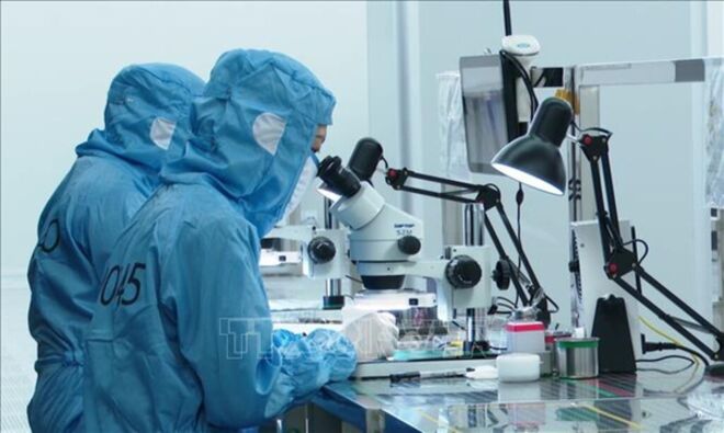 Guiding framework launched to drive local science, technology ...